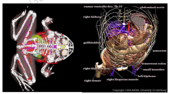 Visualization Definition And History Of Visualization Computer Gaphics And Visualization