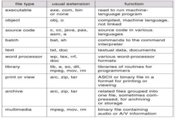 File – System Interface – I – Operating System