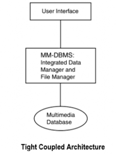 Multimedia Databases – Database Management System