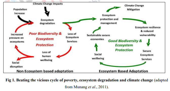 Ecosystem management at national and international level – Ecosystem ...