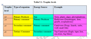 Food chains and Food webs – Ecosystem structures & functions