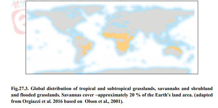Grassland Ecosystem – Ecosystem structures & functions