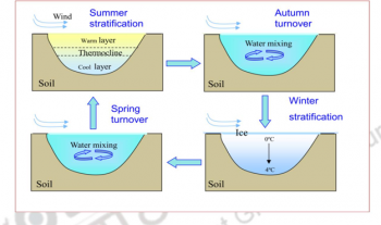 Types of Aquatic Ecosystems-I : Freshwater Ecosystem – Ecosystem ...