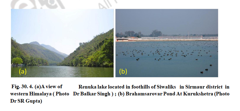 Types of Aquatic Ecosystems-I : Freshwater Ecosystem – Ecosystem ...