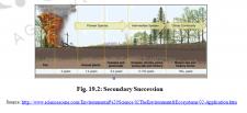 Ecological Succession – Part 1 – Ecosystem structures & functions