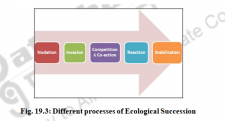 Ecological Succession – Part 1 – Ecosystem structures & functions