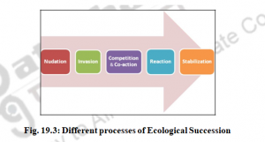 Ecological Succession – Part 1 – Ecosystem structures & functions