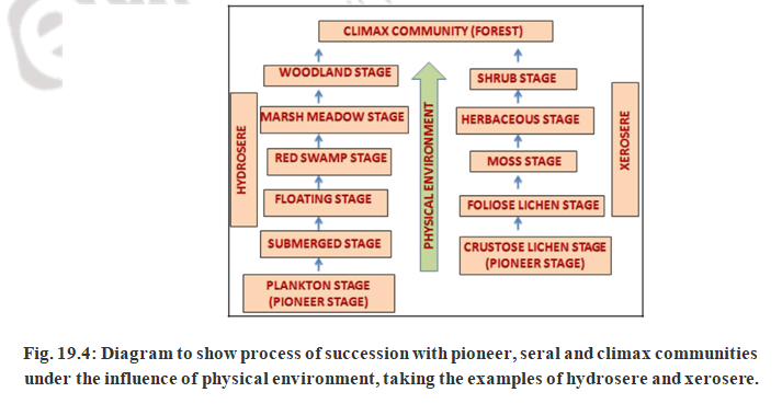 Ecological Succession – Part 1 – Ecosystem structures & functions