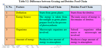 Food chains and Food webs – Ecosystem structures & functions