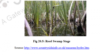 Ecological Succession – Part 2 – Ecosystem structures & functions