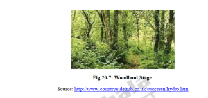 Ecological Succession – Part 2 – Ecosystem structures & functions