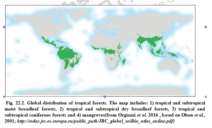 Earths Major Biomes: Distribution and Biotic Components – Ecosystem ...