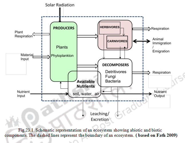 Ecosystem Structure and Functions – Ecosystem structures & functions