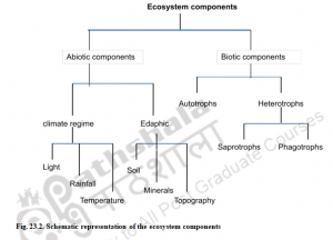 Ecosystem Structure and Functions – Ecosystem structures & functions