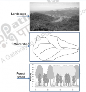 Ecosystem Structure and Functions – Ecosystem structures & functions