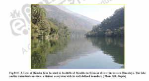 Ecosystem Structure and Functions – Ecosystem structures & functions