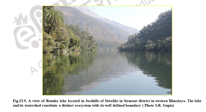 Ecosystem Structure and Functions – Ecosystem structures & functions