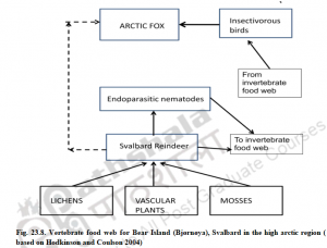 Ecosystem Structure and Functions – Ecosystem structures & functions