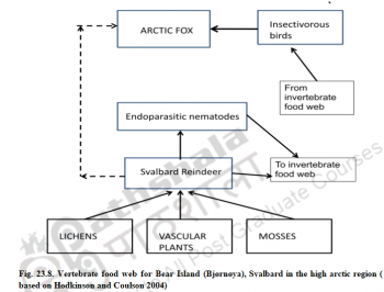 Ecosystem Structure and Functions – Ecosystem structures & functions
