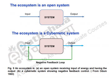Ecosystem Structure and Functions – Ecosystem structures & functions