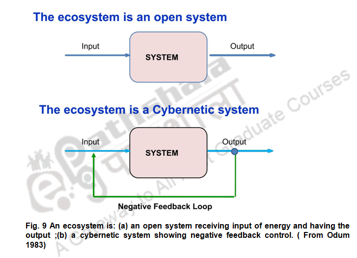 Ecosystem Structure and Functions – Ecosystem structures & functions