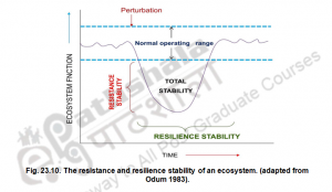Ecosystem Structure and Functions – Ecosystem structures & functions