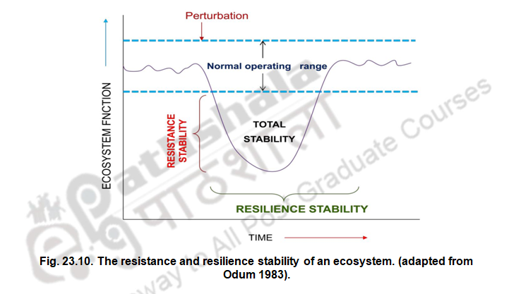 Ecosystem Structure and Functions – Ecosystem structures & functions