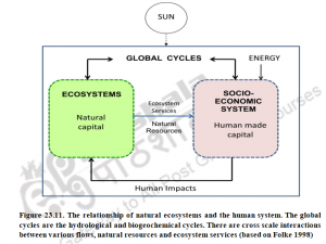 Ecosystem Structure and Functions – Ecosystem structures & functions