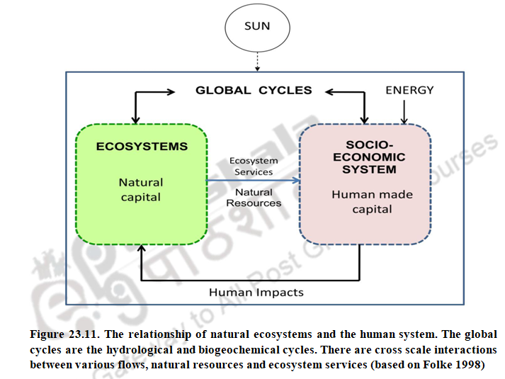 Ecosystem Structure and Functions – Ecosystem structures & functions