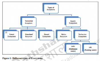 Types of Ecosystem – Ecosystem structures & functions
