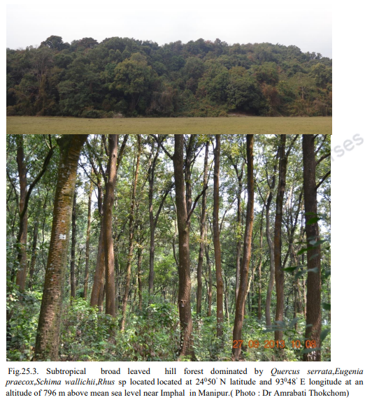 Forest ecosystem: Forest Types of India – Ecosystem structures & functions