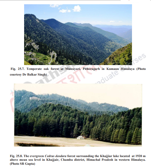 Forest ecosystem: Forest Types of India – Ecosystem structures & functions
