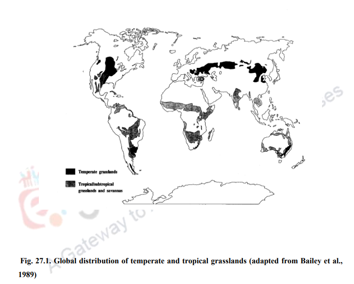 Grassland Ecosystem – Ecosystem structures & functions