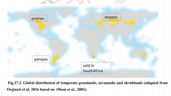 Grassland Ecosystem – Ecosystem structures & functions