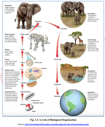 Ecosystems: Concept, Structure and Functions – Part 1 – Ecosystem ...