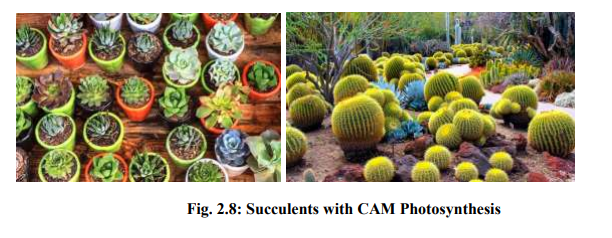 Ecosystems Concept Structure And Functions Part 2 Ecosystem Structures And Functions