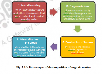 Ecosystems: Concept, Structure and Functions – Part 2 – Ecosystem structures & functions