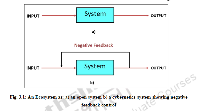 Ecosystems Concept Structure And Functions Part 3 Ecosystem Structures And Functions