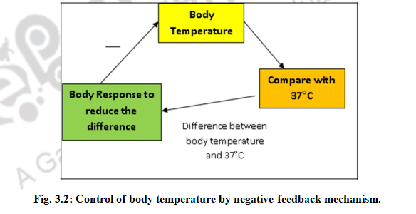 Ecosystems: Concept, Structure and Functions – Part 3 – Ecosystem ...