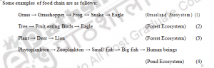 Food chains and Food webs – Ecosystem structures & functions