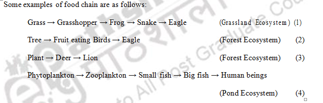 Food chains and Food webs – Ecosystem structures & functions