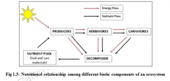 Ecosystems: Concept, Structure and Functions – Part 1 – Ecosystem ...