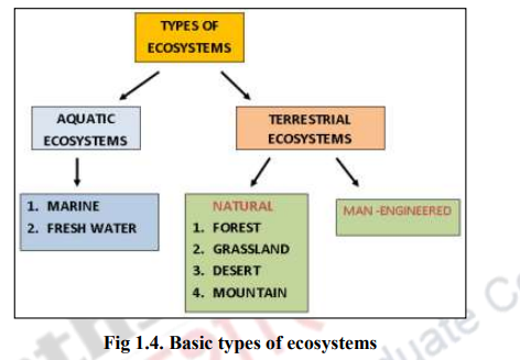 Ecosystems: Concept, Structure and Functions – Part 1 – Ecosystem structures & functions