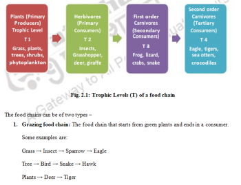 Ecosystems: Concept, Structure and Functions – Part 2 – Ecosystem structures & functions