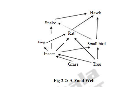 Ecosystems: Concept, Structure and Functions – Part 2 – Ecosystem structures & functions