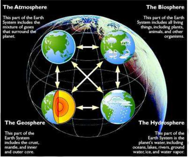 Ecosystems: Concept, Structure and Functions – Part 1 – Ecosystem structures & functions