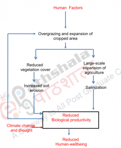 Desert Ecosystem – Ecosystem structures & functions