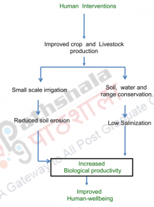 Desert Ecosystem – Ecosystem structures & functions