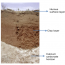 Desert Ecosystem – Ecosystem structures & functions