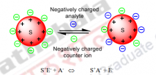 Ion exchange chromatography – Analytical chemistry
